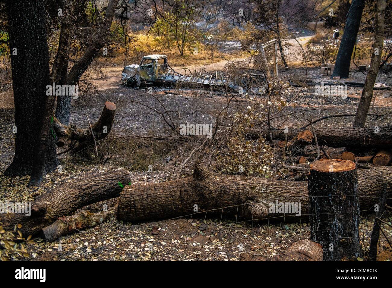 Bonny Doon, United States. 16th Sep, 2020. BONNY DOON, CALIFORNIA ...