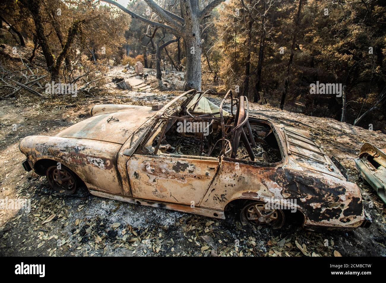 Bonny Doon, United States. 16th Sep, 2020. BONNY DOON, CALIFORNIA ...