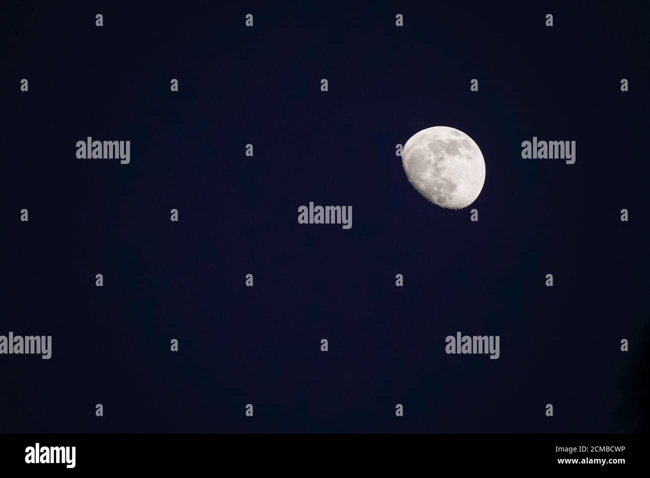 Half Moon Background. The Moon is an astronomical body that orbits ...