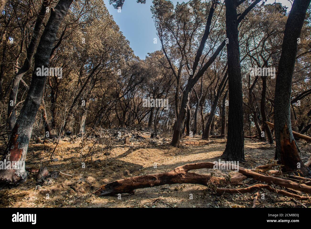 Bonny Doon, United States. 16th Sep, 2020. BONNY DOON, CALIFORNIA ...