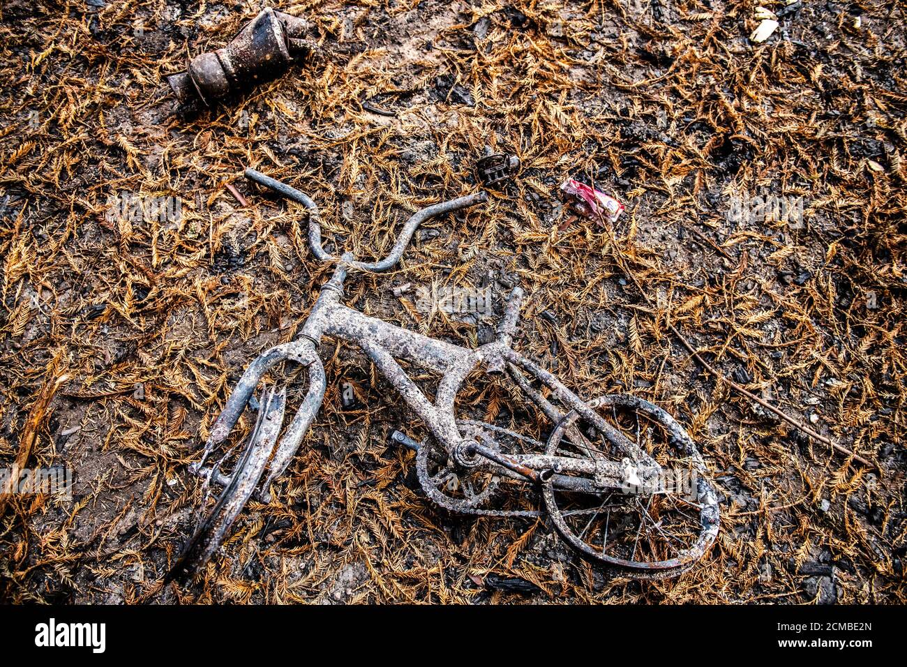 Boulder Creek, California, USA. 16th Sep, 2020. A general view of a ...