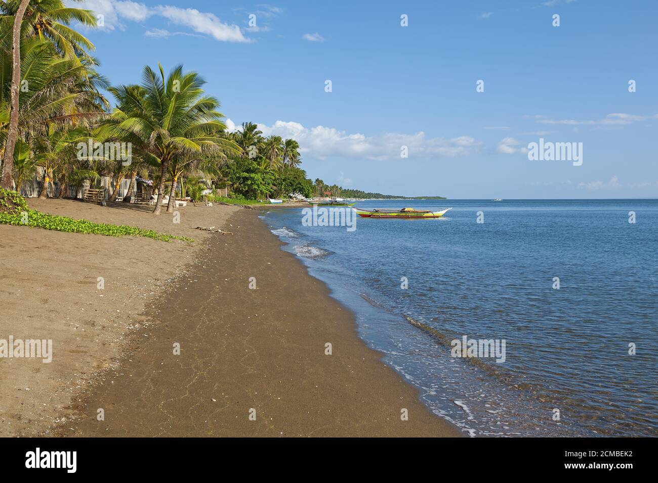 Donsol, The Whale Shark Capital Stock Photo - Alamy