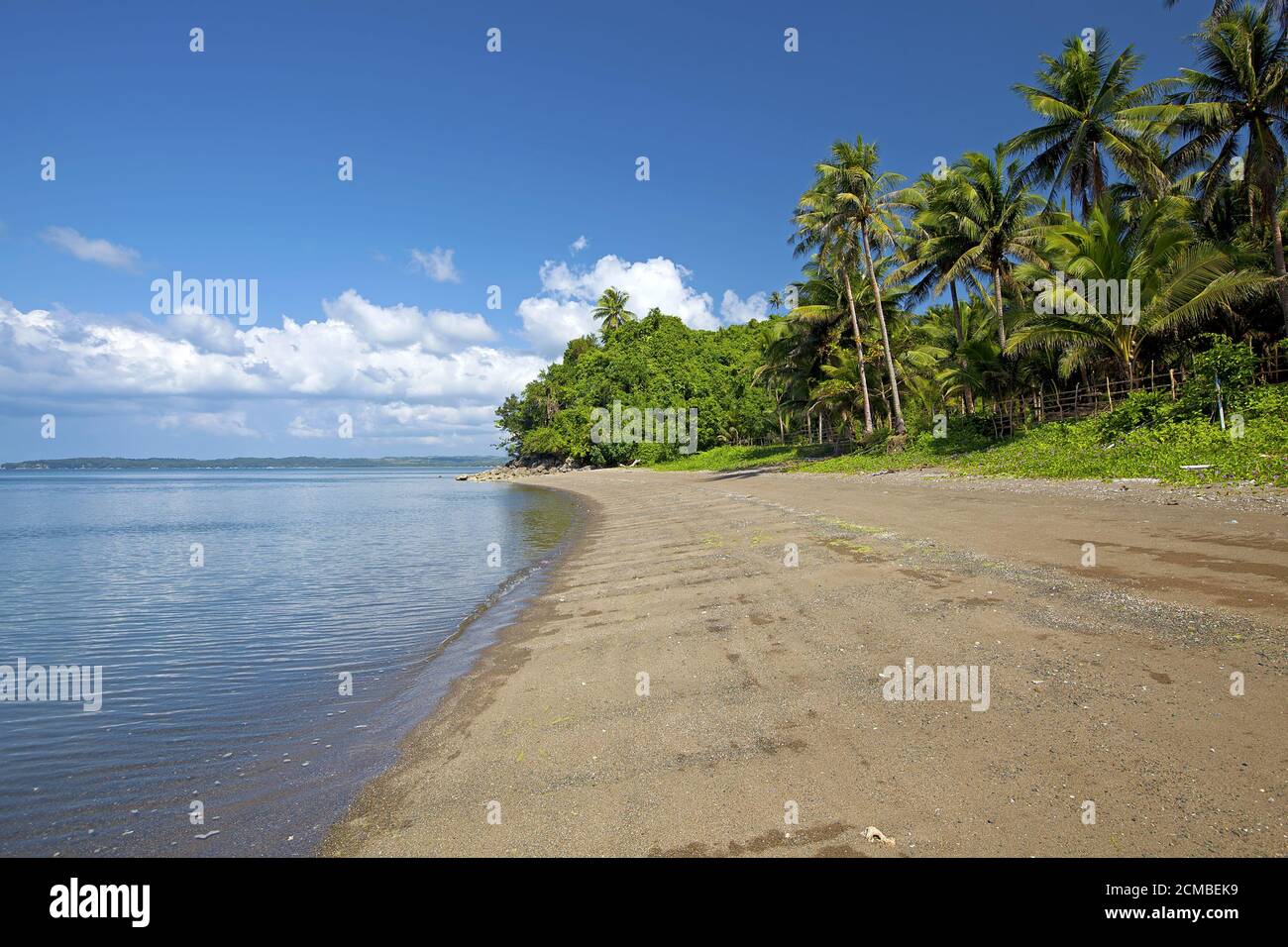 Donsol, The Whale Shark Capital Stock Photo - Alamy
