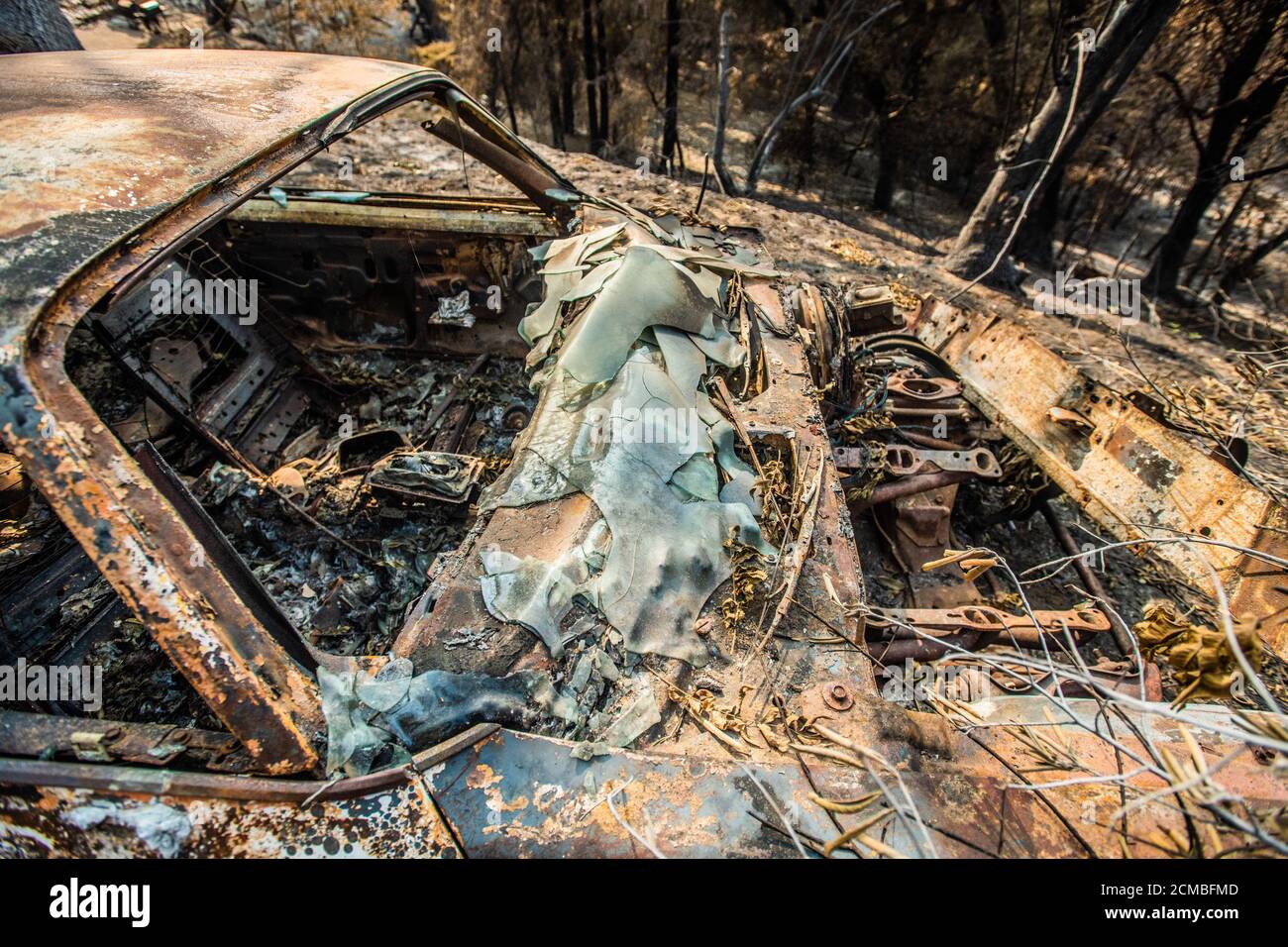 Bonny Doon, California, USA. 16th Sep, 2020. A general view of a burned ...