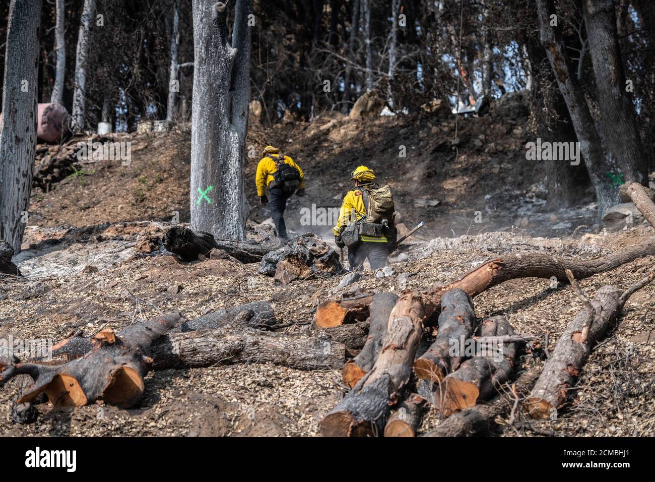 Bonny Doon, California, USA. 16th Sep, 2020. Firefighters walk up a ...