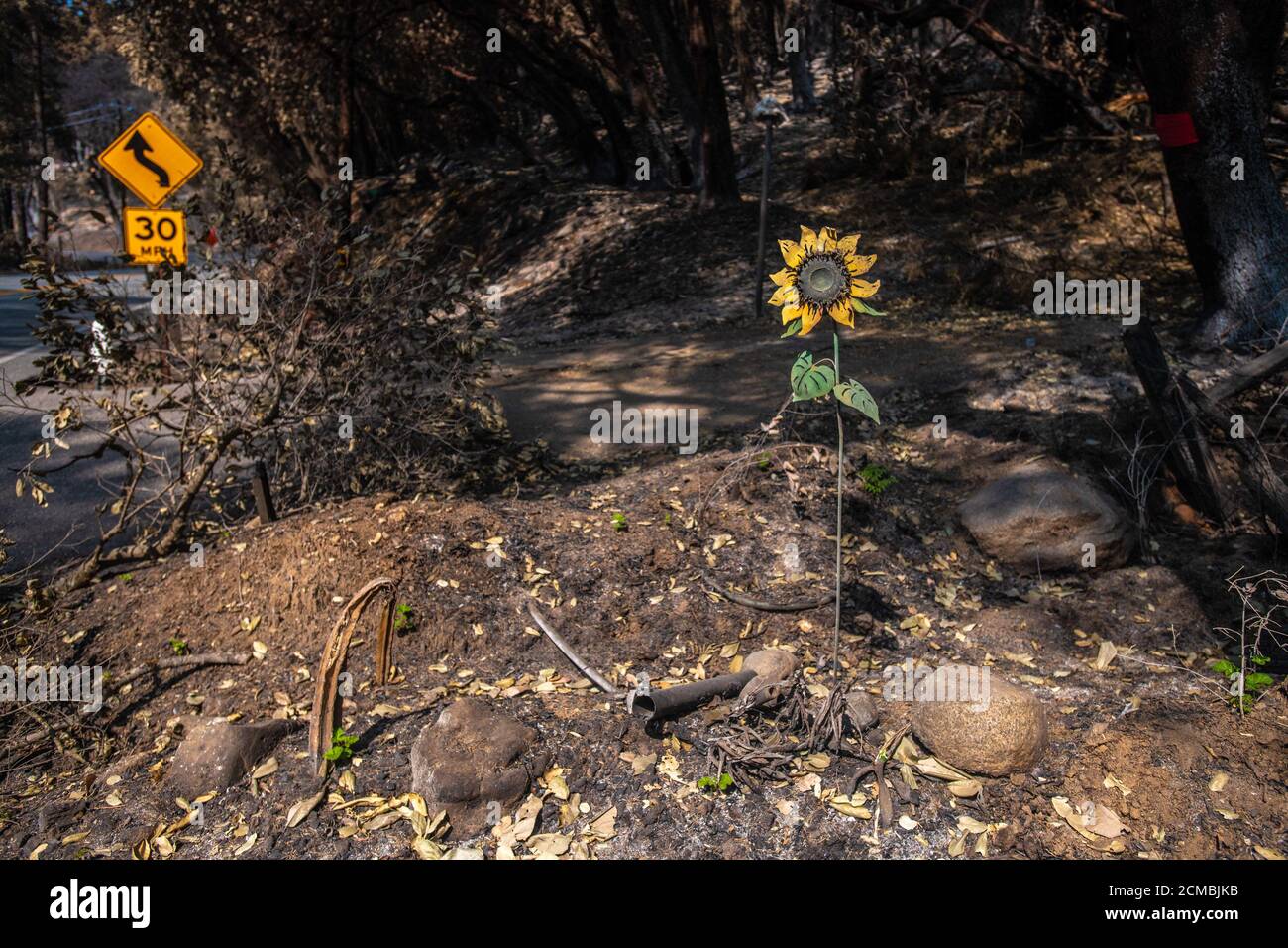 Bonny Doon, California, USA. 16th Sep, 2020. A general view of ...