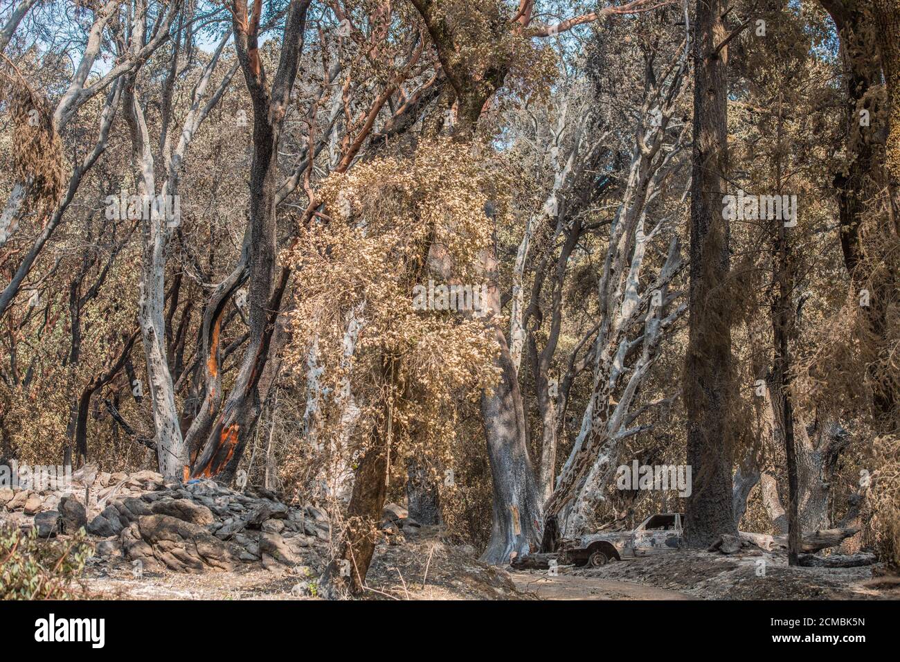 Bonny Doon, California, USA. 16th Sep, 2020. A general view of a burned ...