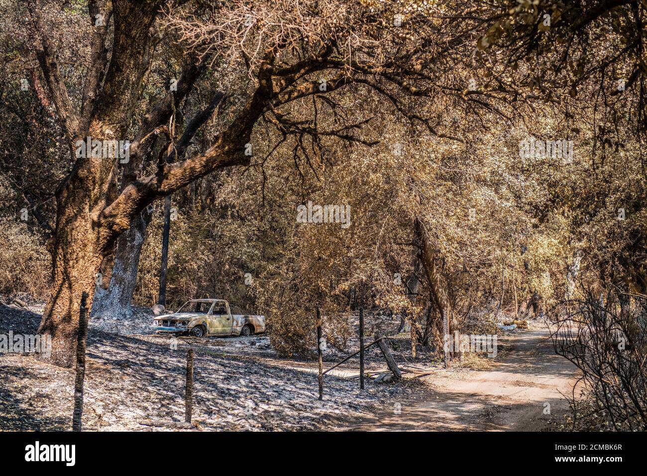 Bonny Doon, California, USA. 16th Sep, 2020. A general view of a burned ...
