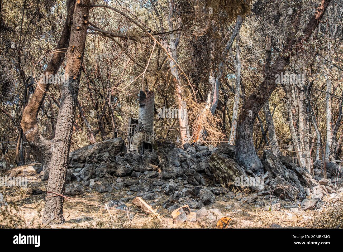 Bonny Doon, California, USA. 16th Sep, 2020. A general view of ...
