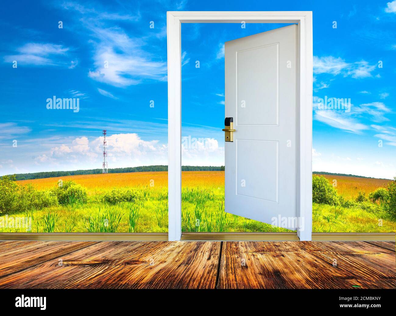 open door with a view of green meadow illuminated by bright sunshine ...