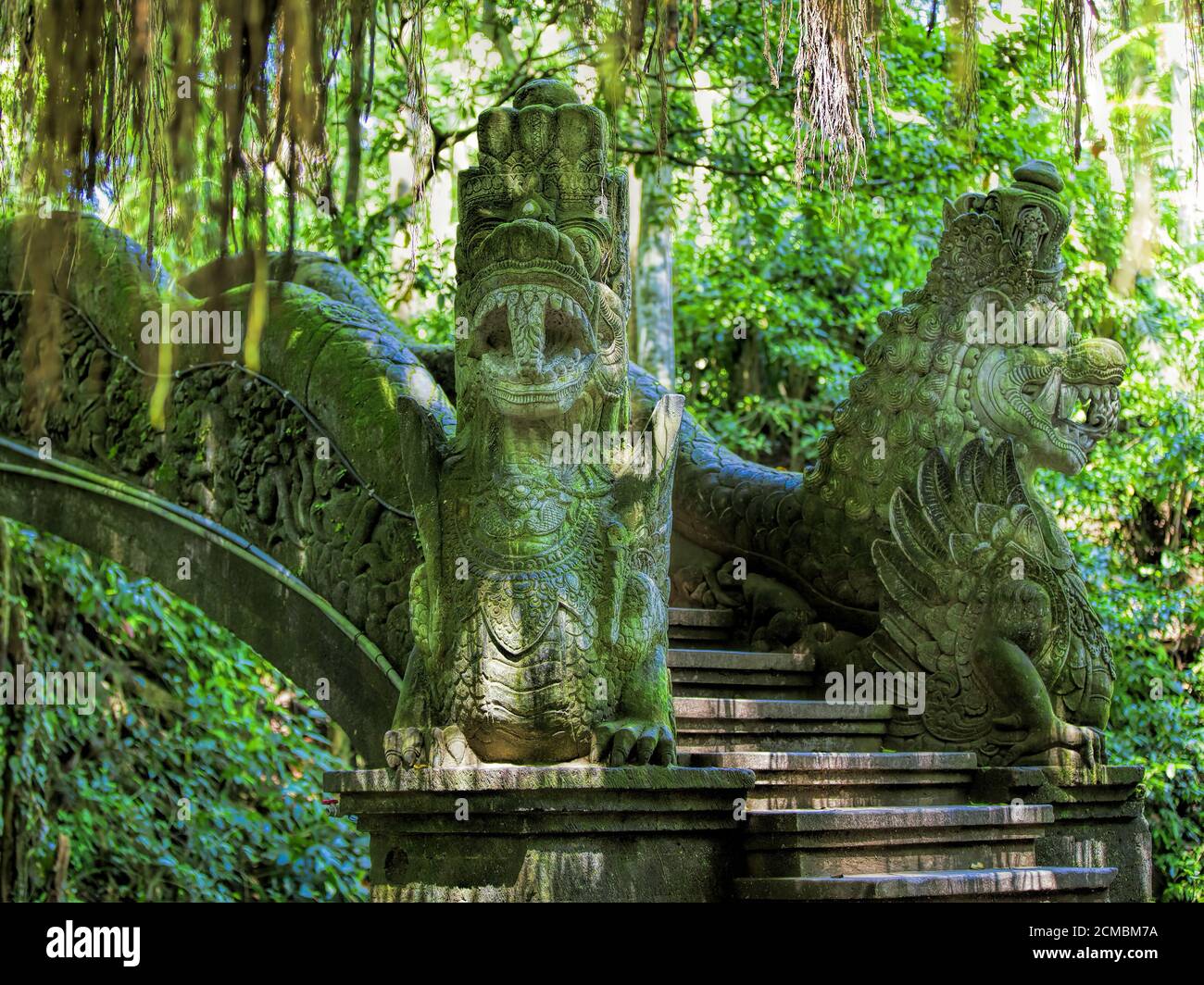 Ubud Monkey Forest Stock Photo - Alamy