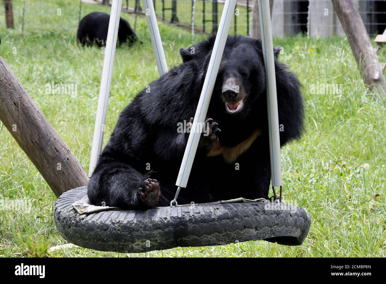 Wildlife of vietnam hi-res stock photography and images - Alamy