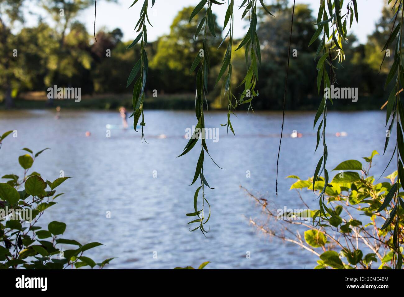 Lake swimming woman england hi-res stock photography and images - Alamy