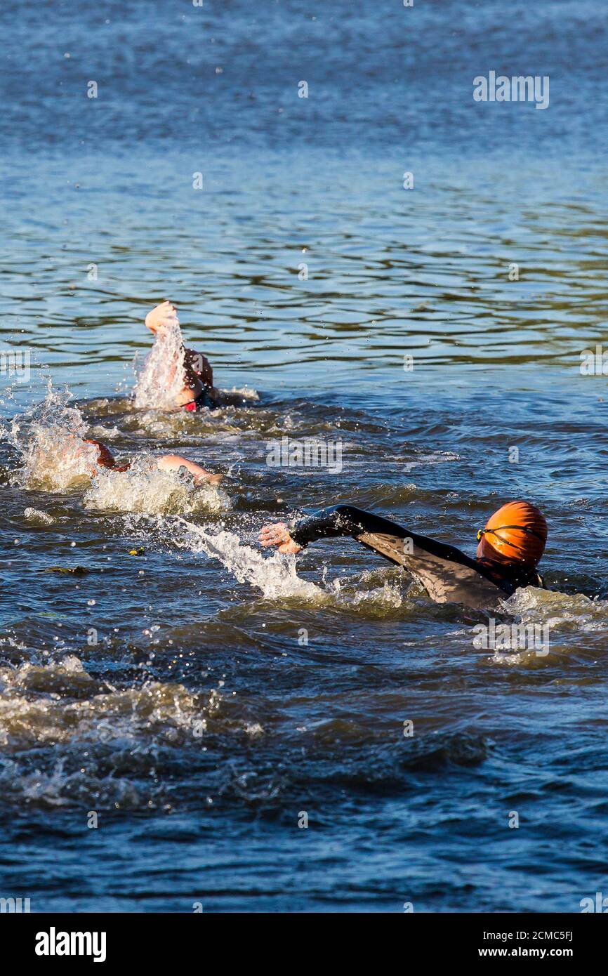 Female swimming open water hi-res stock photography and images - Alamy