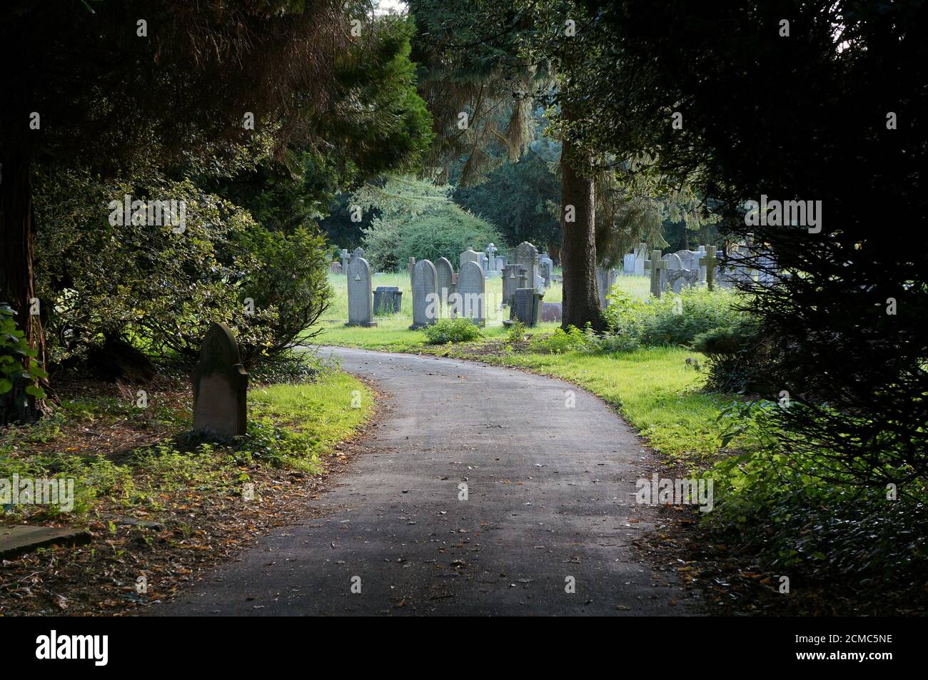 Path winding through meadow hi-res stock photography and images - Alamy