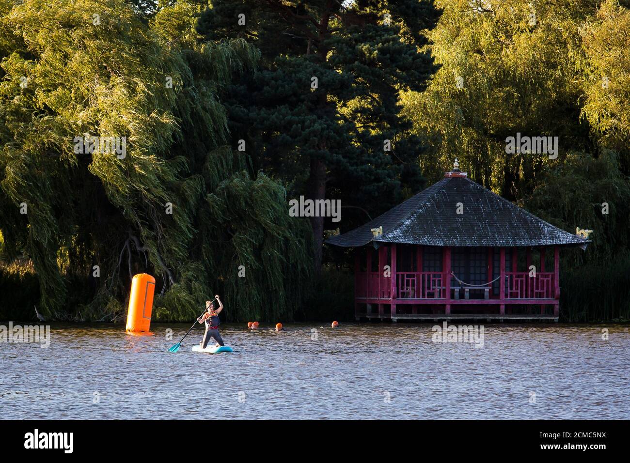 Paggle boarding hi-res stock photography and images - Alamy
