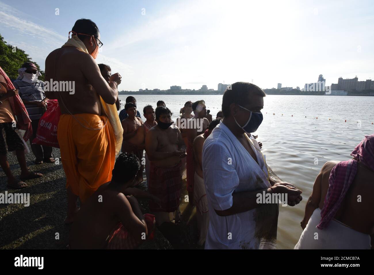 Tarpana hi-res stock photography and images - Alamy