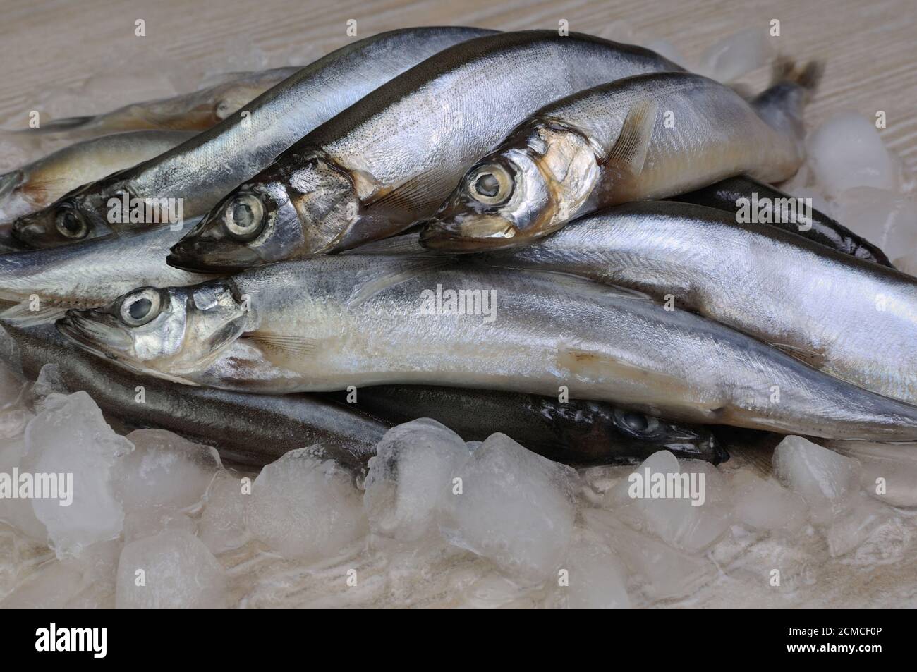 Capelin hi-res stock photography and images - Alamy