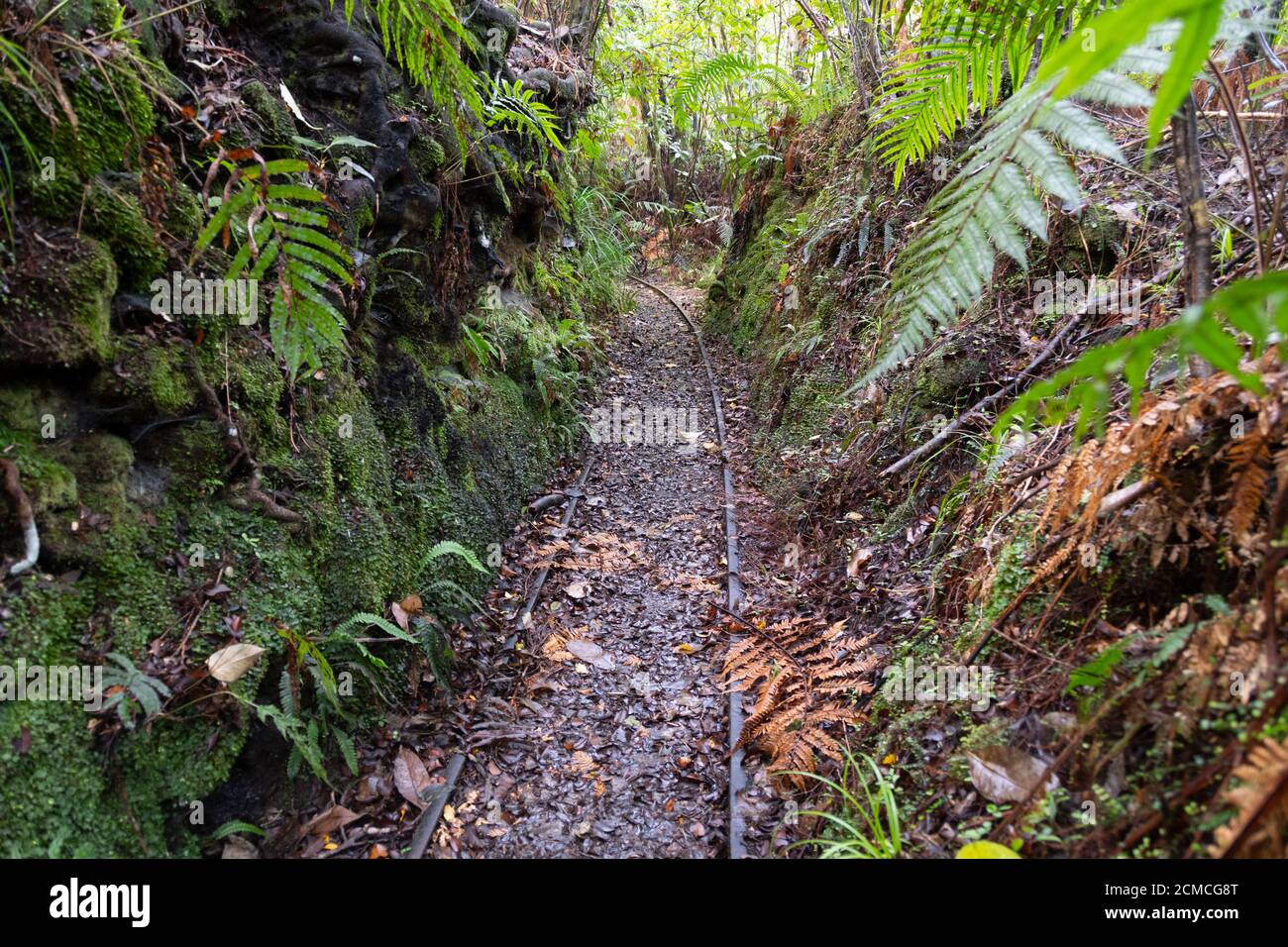 Gold Mining Museum New Zealand High Resolution Stock Photography and ...