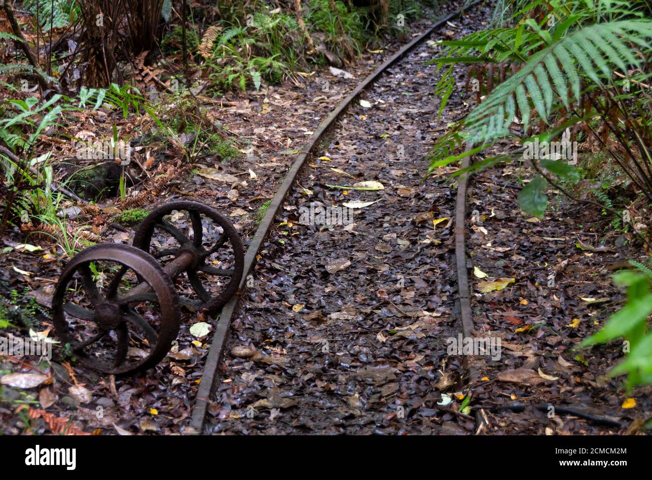 Mitchells Gully Gold Mine, Charleston, near Westport, Buller, South ...