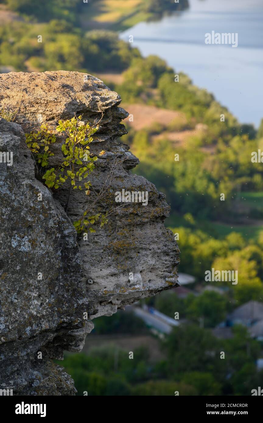 Growing tree at high rock cliff above the Socola village Stock Photo ...