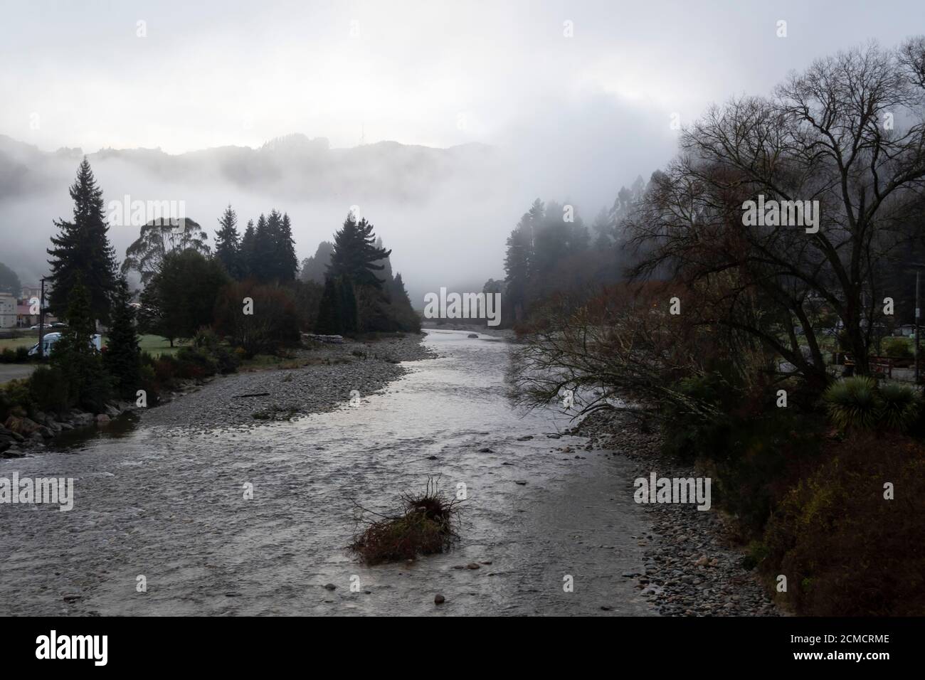 Misty hills and trees, Inangahua River, Reefton, Westland, South Island ...