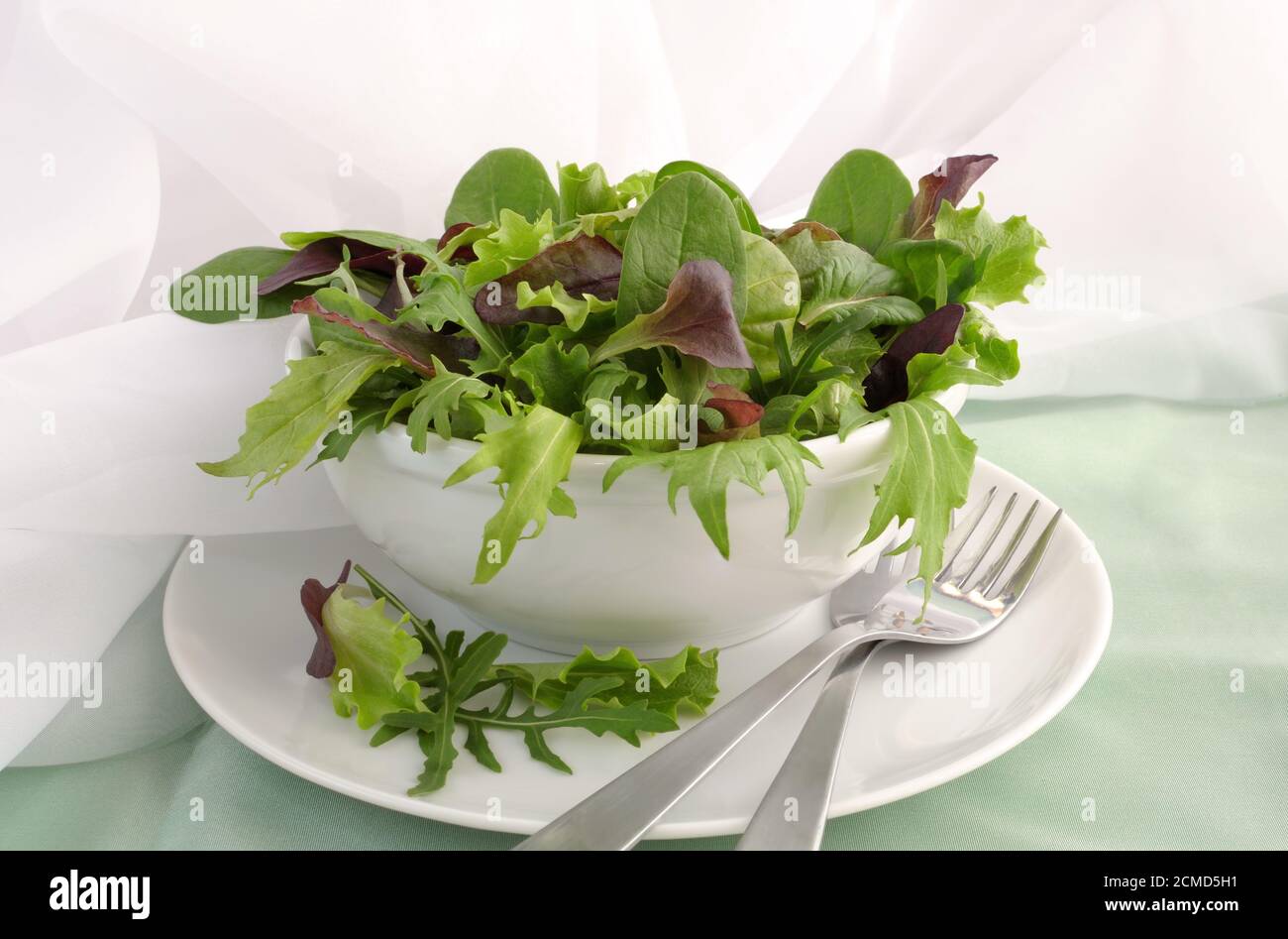 Mix of different varieties of lettuce Stock Photo - Alamy