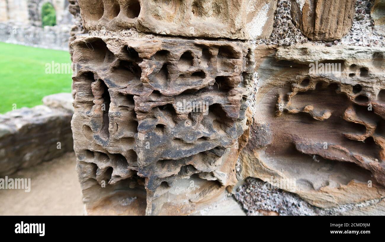 Detail of heavily weathered stone at Finchale Priory Durham Stock Photo ...