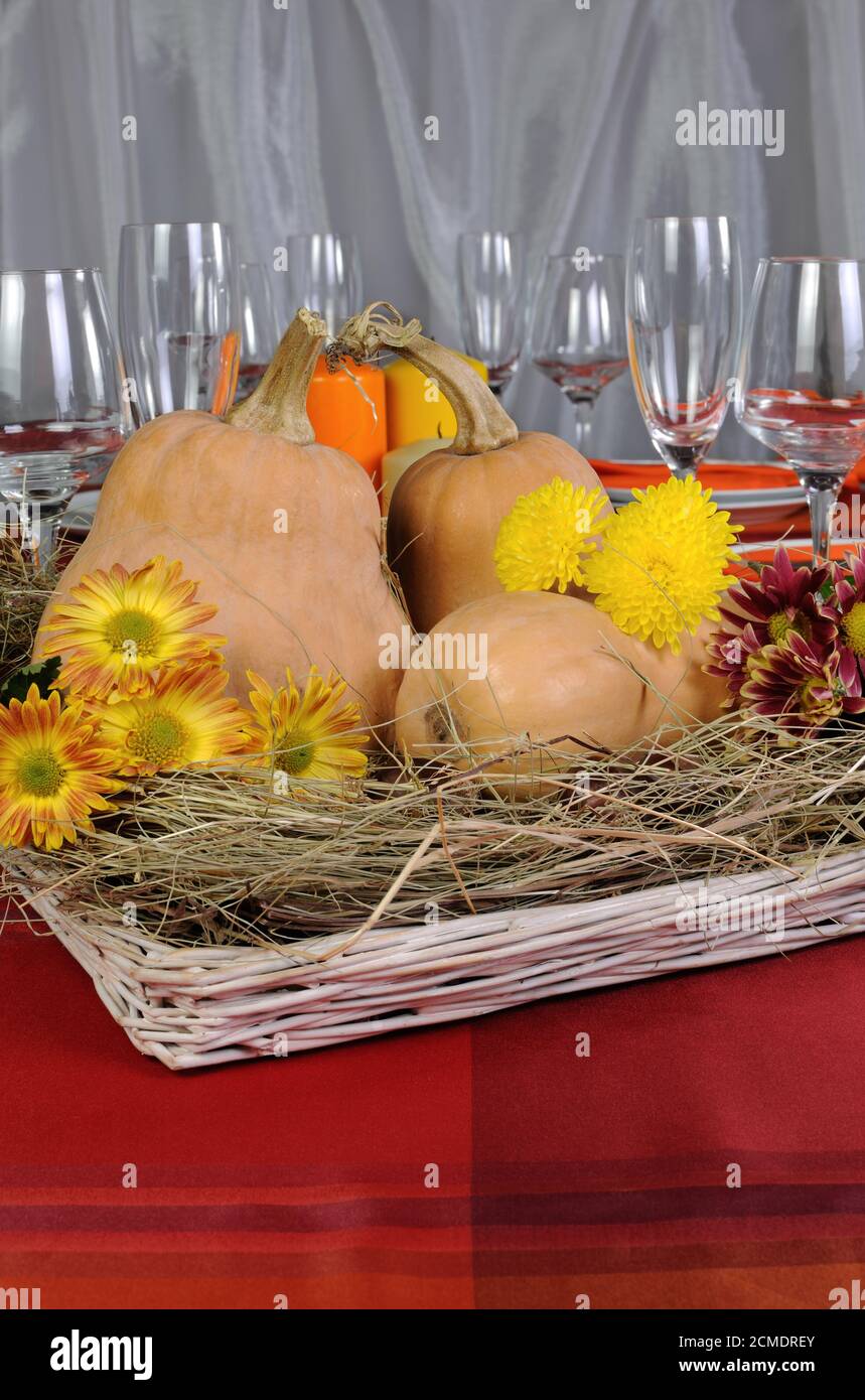 Theme autumn hi-res stock photography and images - Alamy