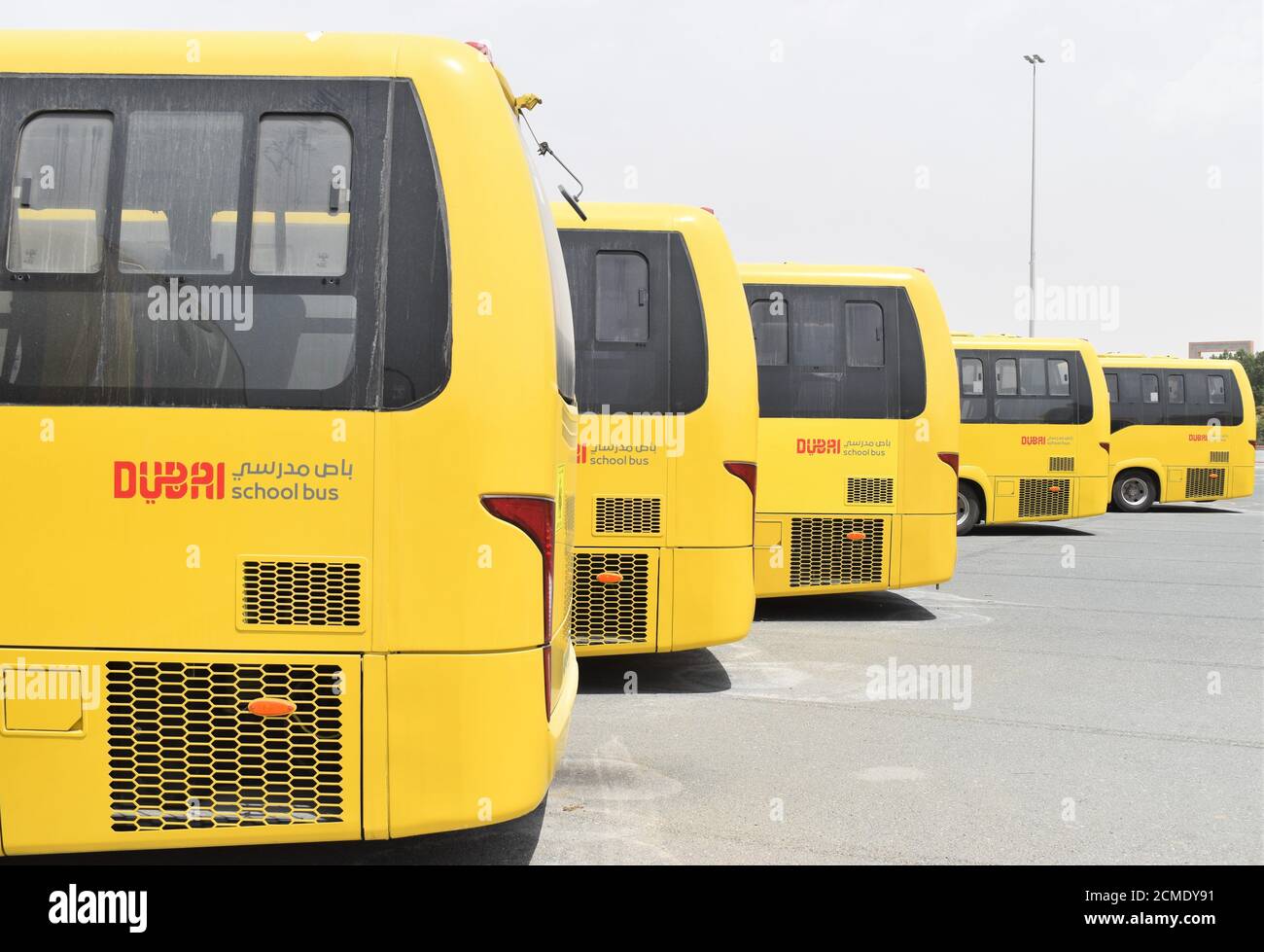 A row of yellow school buses parked in a car park in Dubai waiting for ...