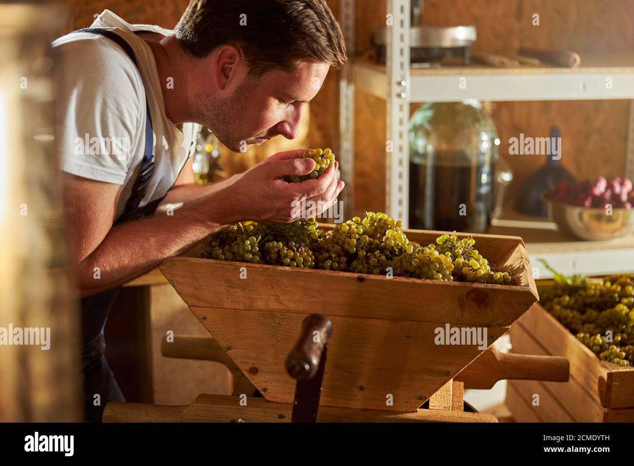 Hand crushing grapes hi-res stock photography and images - Alamy