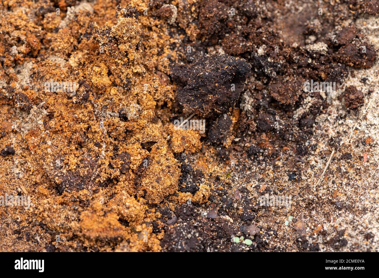 Sand and earth mixture hi-res stock photography and images - Alamy