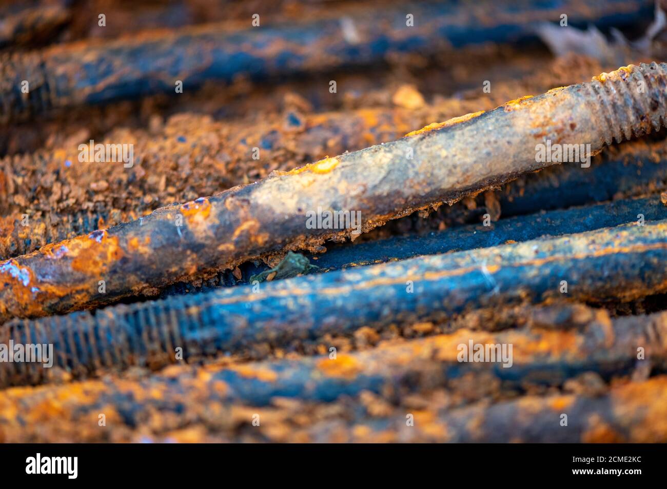 Dark brown studs hi-res stock photography and images - Alamy