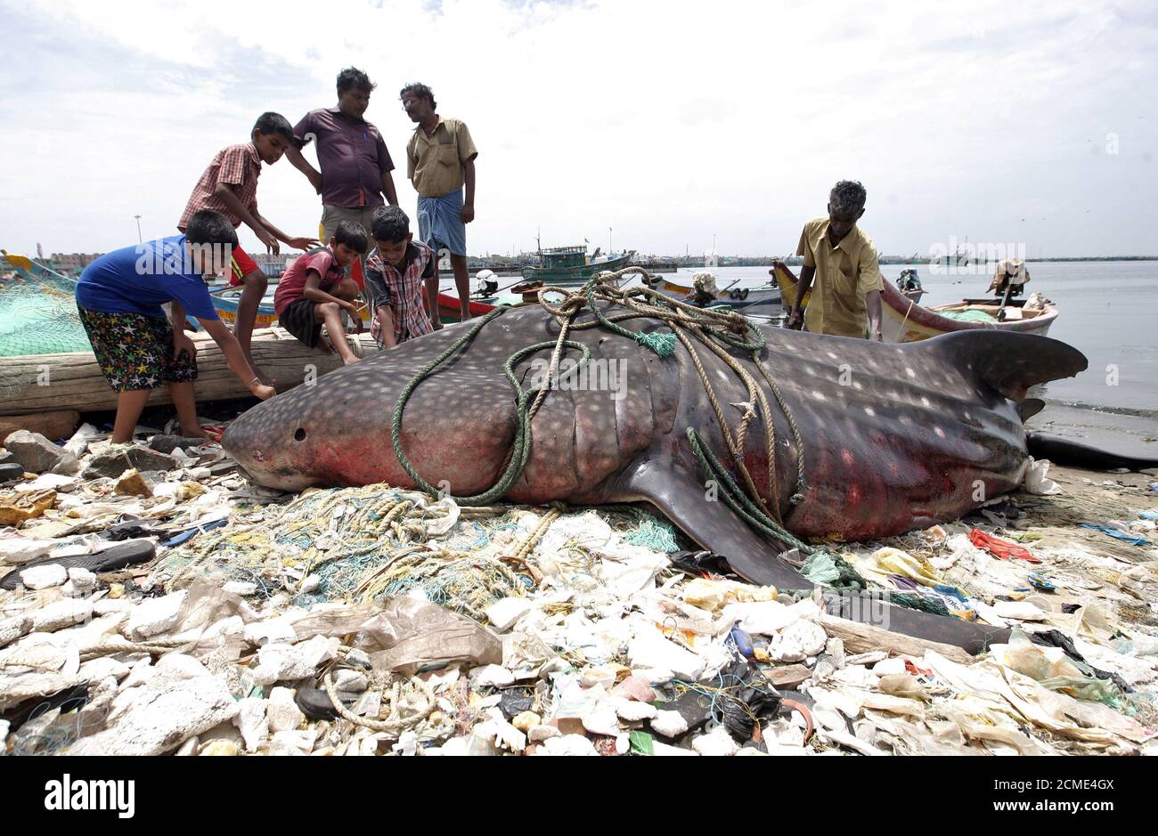 Royapuram fishing harbour chennai hi-res stock photography and images ...