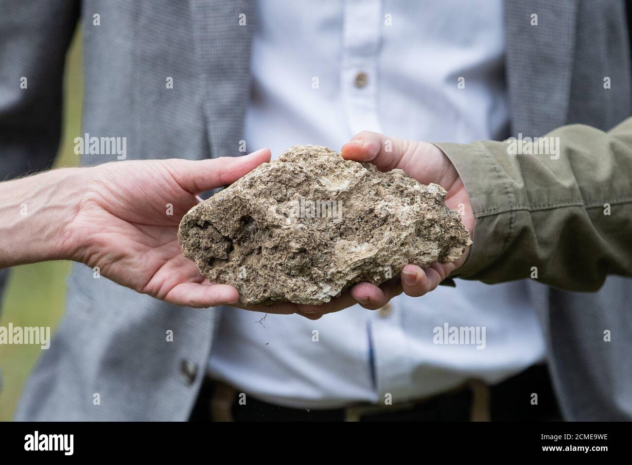 Bass fiddle hi-res stock photography and images - Alamy