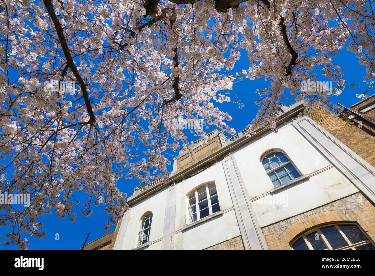 Pitzhanger Manor & Gallery Stock Photo - Alamy