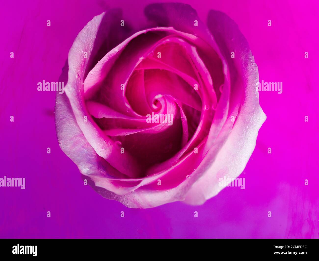 Top view of colorful drop falling on a beautiful spinning flower Stock ...