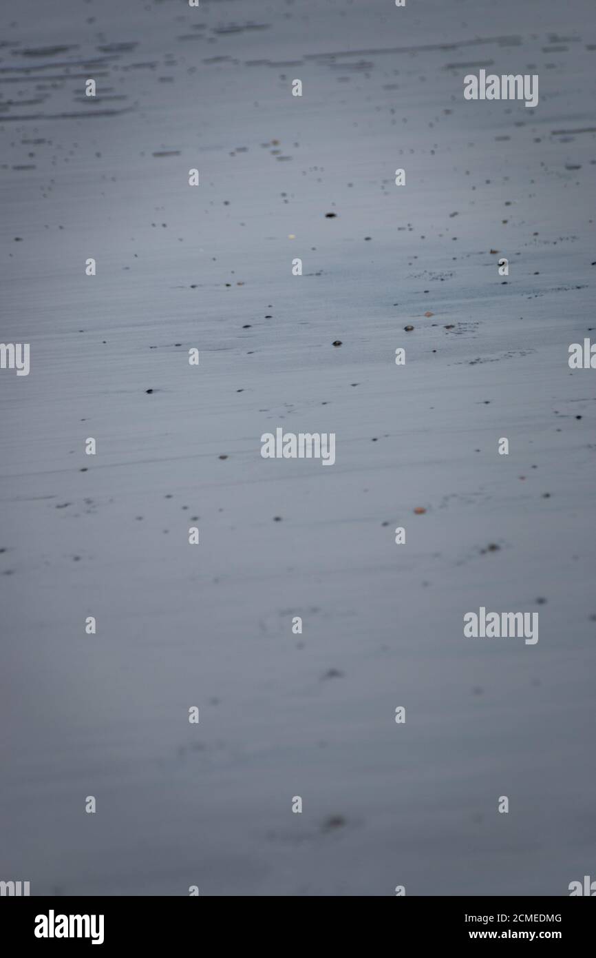 Wet sand on a beach hi-res stock photography and images - Alamy