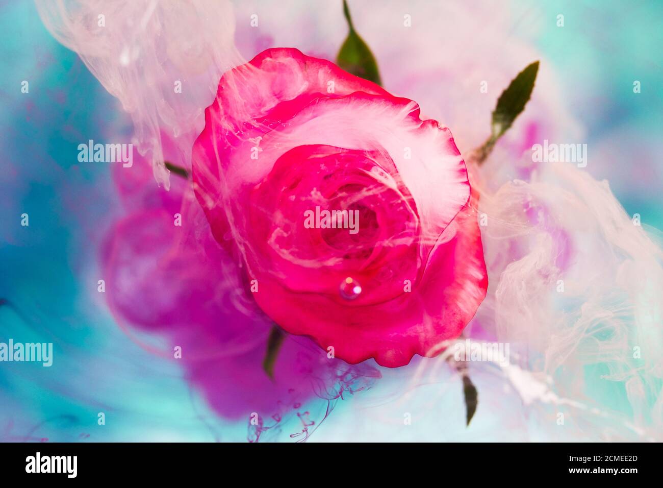 Spinning flower hi-res stock photography and images - Alamy