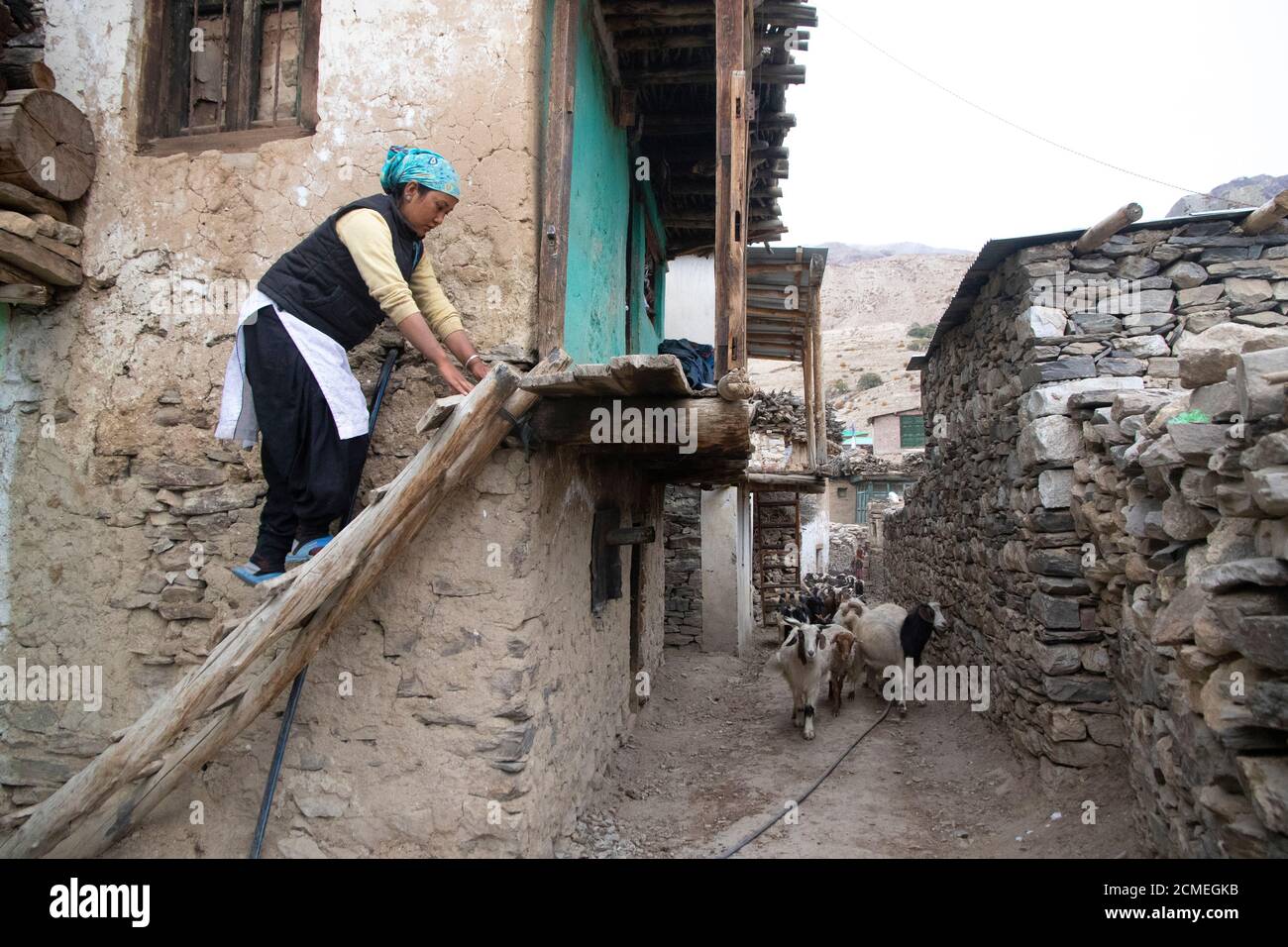 Happy people of Nako Village, Kinnaur in their Traditional colorful ...