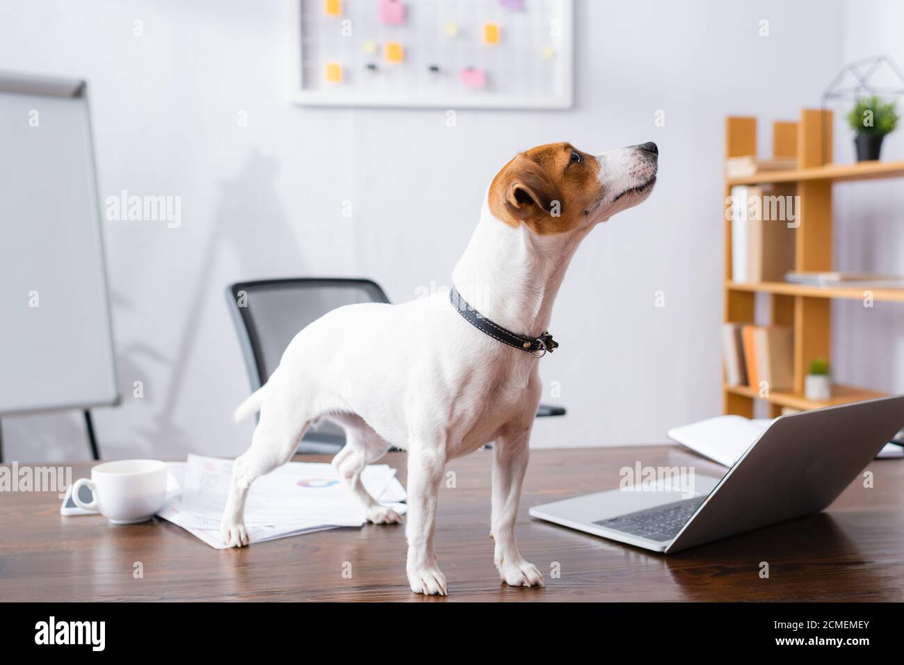 Russell documents hi-res stock photography and images - Alamy