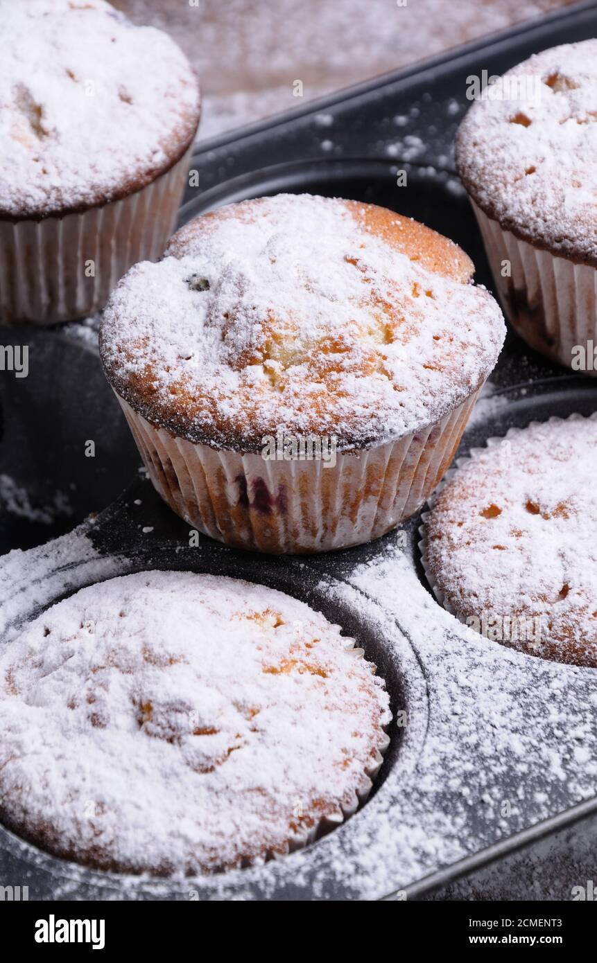 Muffins sugar powder Stock Photo - Alamy