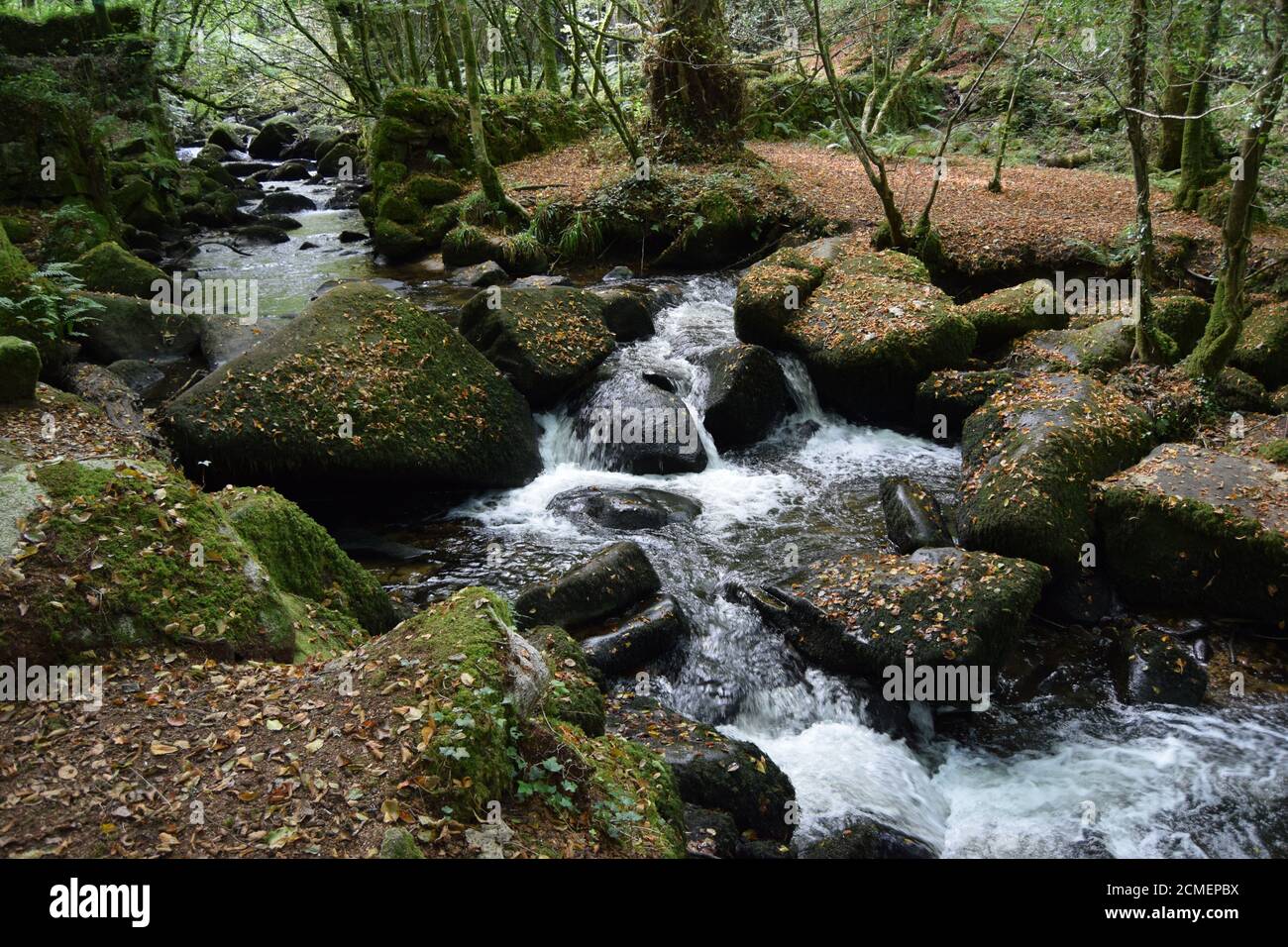 Forest stream running over rocks hi-res stock photography and images ...