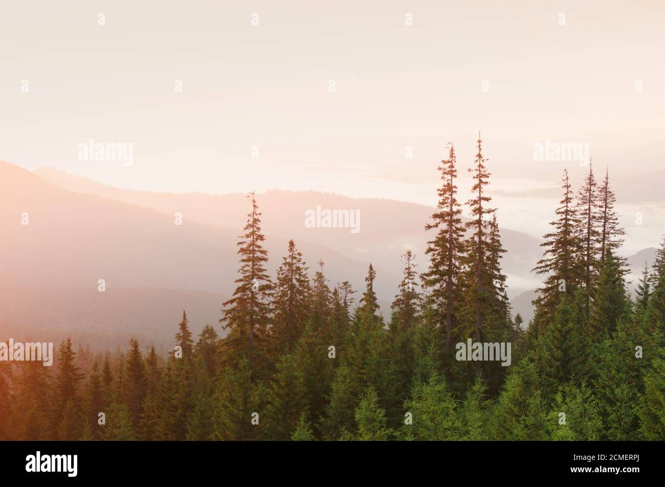 Aerial view trees on mountain hi-res stock photography and images - Alamy