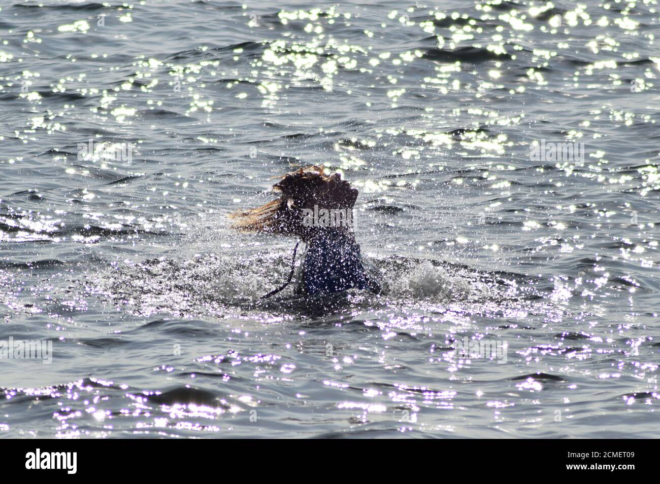 Swimmer in sparkling water hi-res stock photography and images - Alamy
