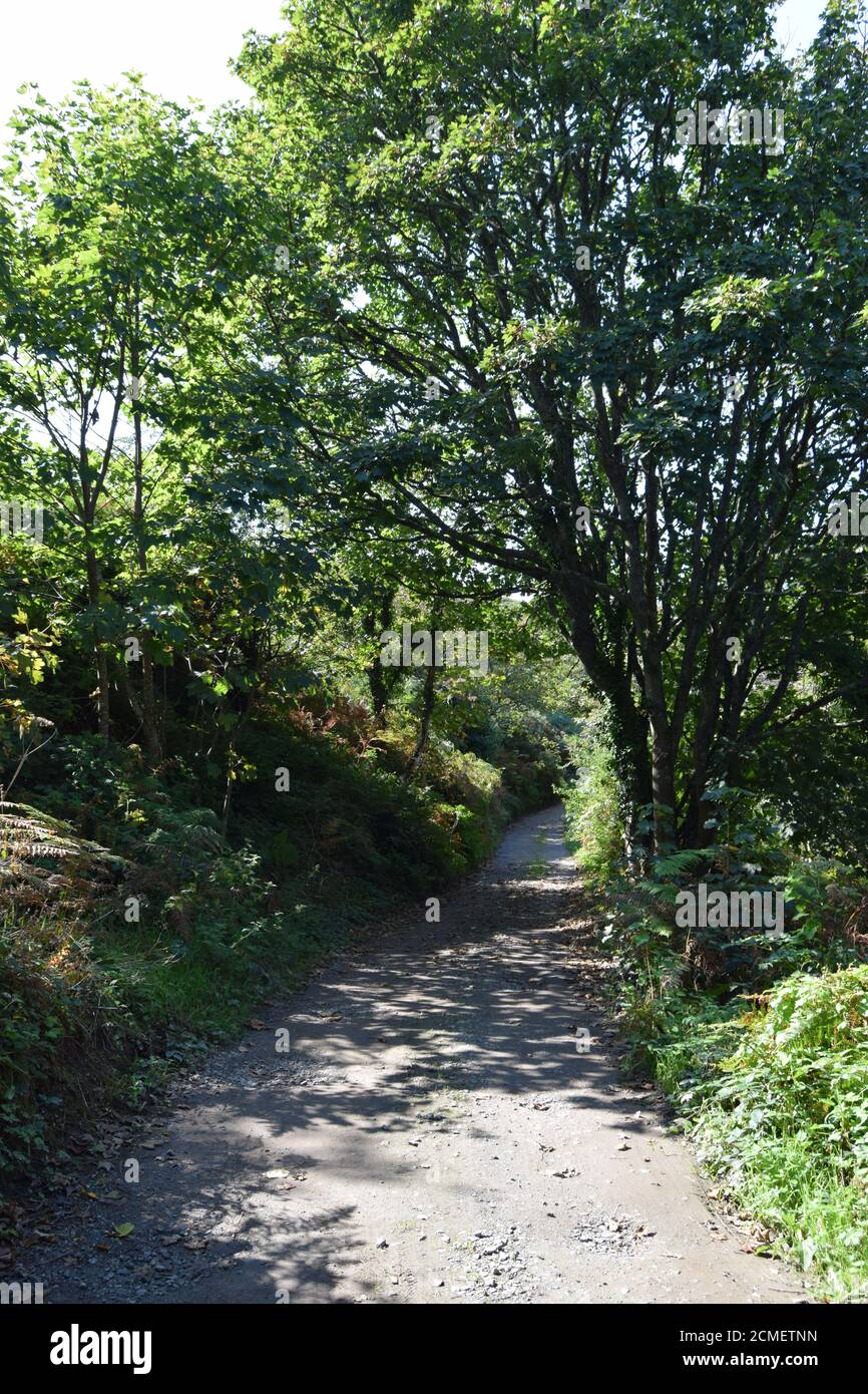 Through trees valley hi-res stock photography and images - Alamy