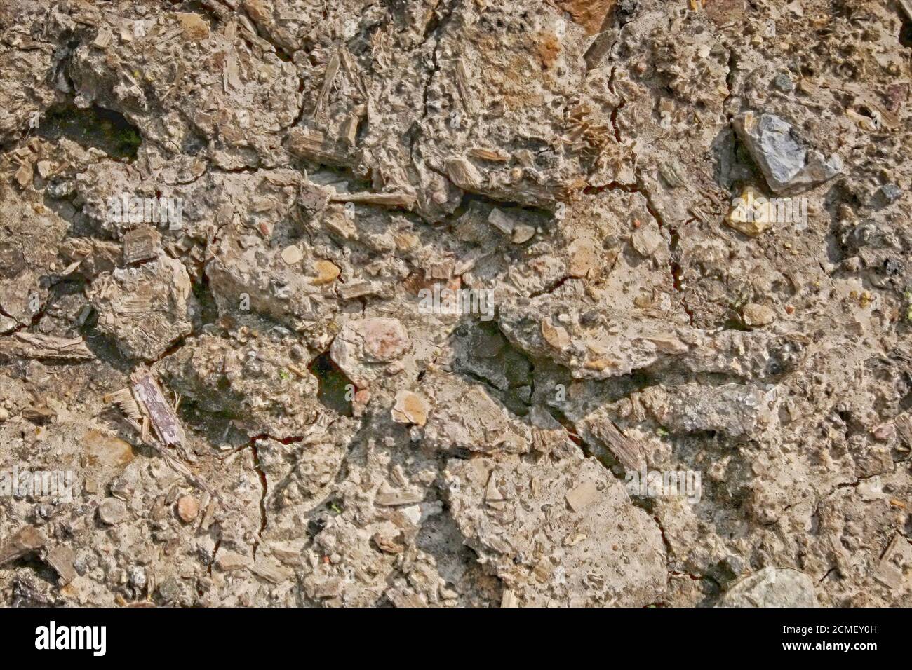 The surface of pedestrian path Stock Photo - Alamy