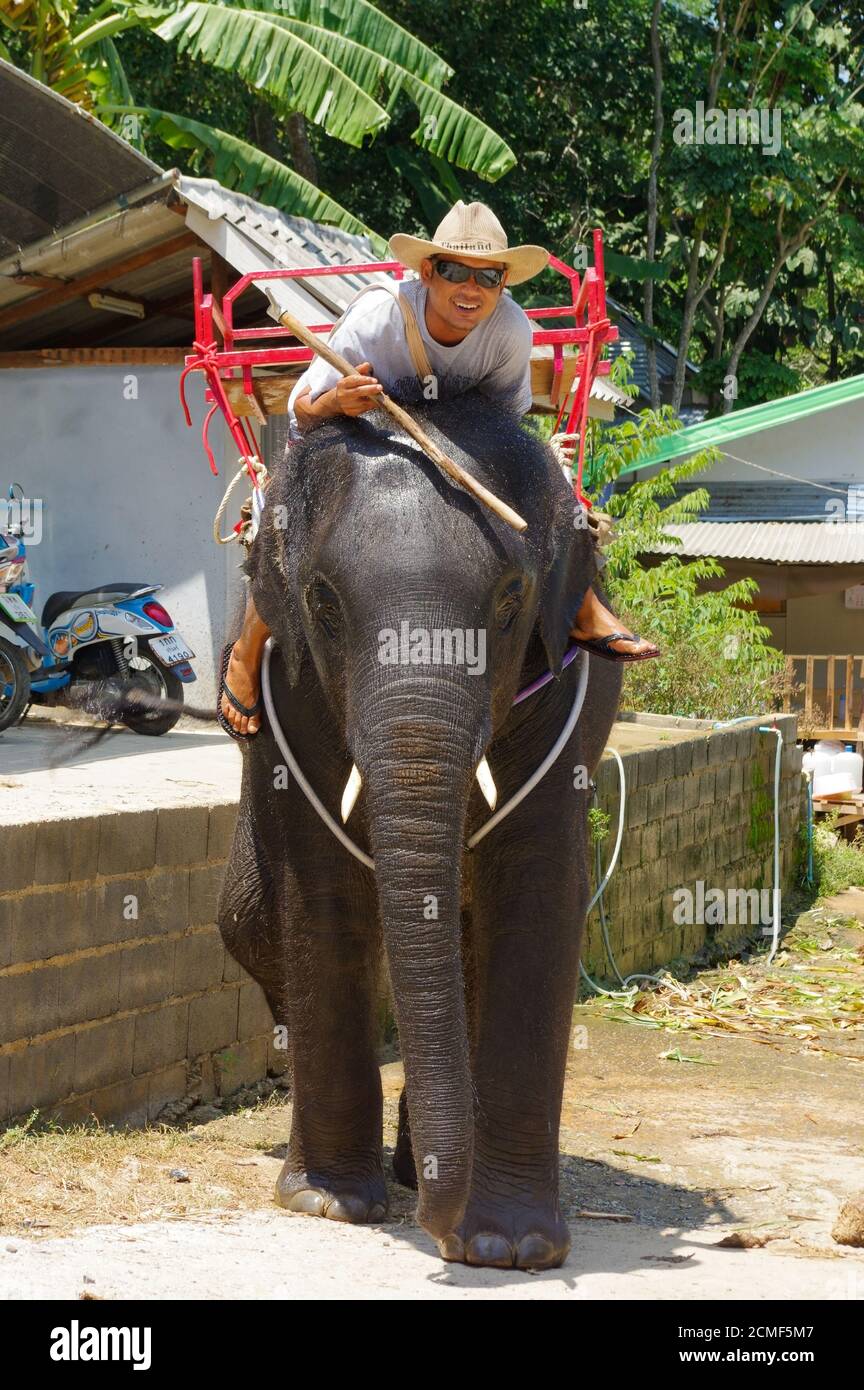 Man riding elephant hi-res stock photography and images - Alamy