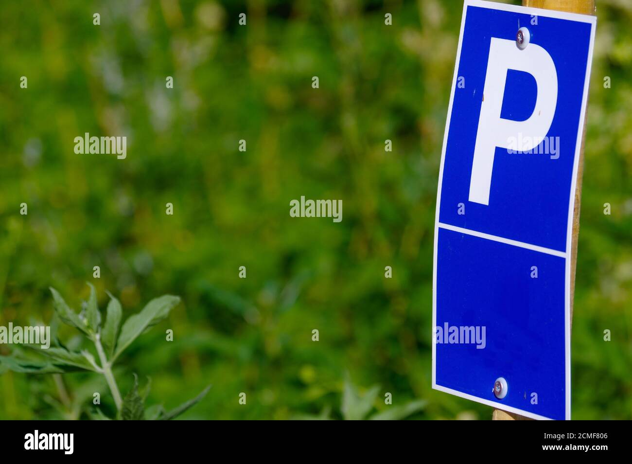 blue parking sign with a big P on it green background Stock Photo - Alamy