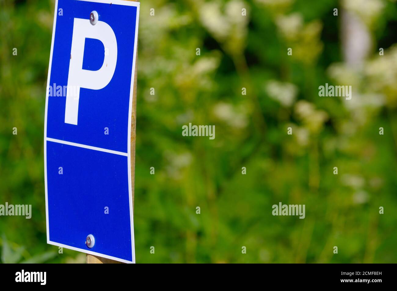 blue parking sign with a big P on it green background Stock Photo - Alamy